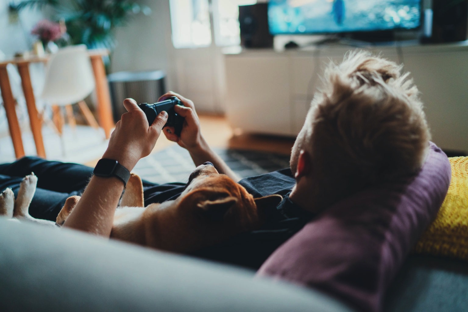 Retro Game Collector – The shop to buy unique retro games